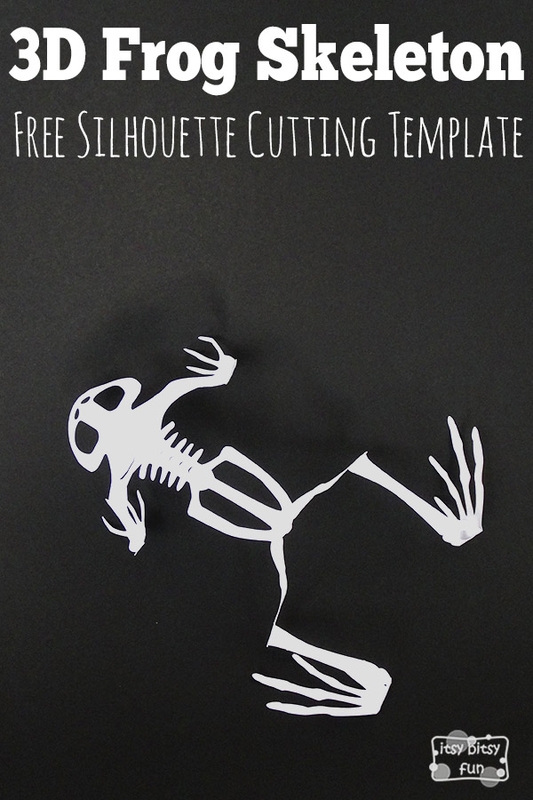 3D Frog Skeleton Silhouette Template Itsy Bitsy Fun 3D Frog Skeleton Silhouette Template Itsy Bitsy Fun
